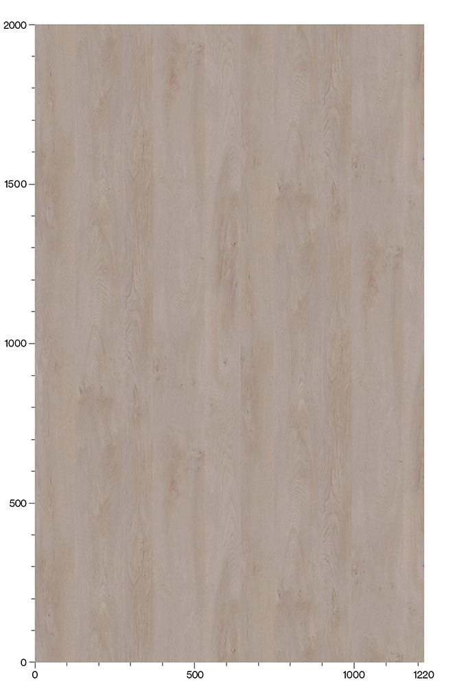 FW-1304 オーク 板目 3M ダイノックフィルム [ファインウッド] m販売