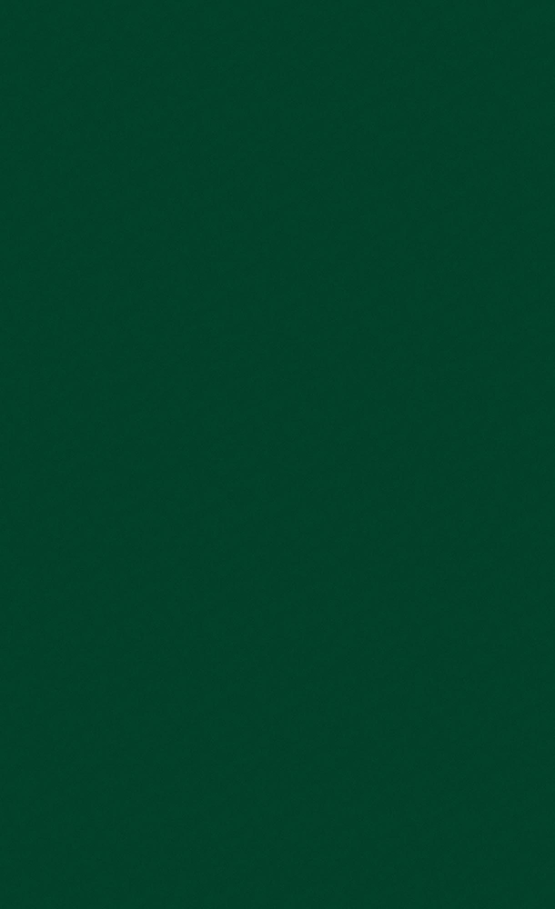 TA4768 カラー(単色) サンゲツ リアテック m販売