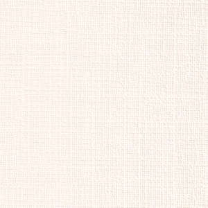 ※旧品番 LW4045 LW4046 リリカラ 壁紙 Will ウィル 2020