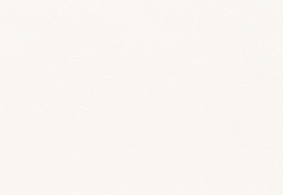 RH9393 RH9394 [ファンクレア 抗菌・汚れ防止] ルノン 壁紙 ホーム 2023-26 m販売