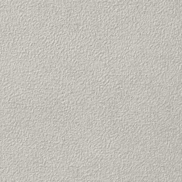 TH32123 TH32124 TH32125 [process#100 / シンシアリティー] サンゲツ [不燃認定壁紙] FAITH フェイス2022-25 m販売