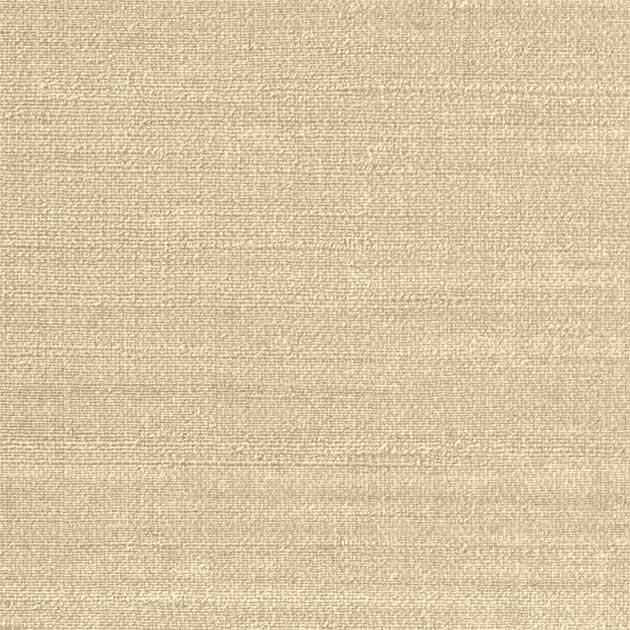 TH32397～32401 [フィルム汚れ防止] 5色 サンゲツ [不燃認定壁紙] FAITH フェイス2022-25 m販売