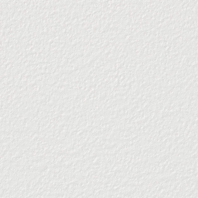 TH32494 TH32495 [スーパー耐久性] サンゲツ [不燃認定壁紙] FAITH フェイス2022-25 m販売