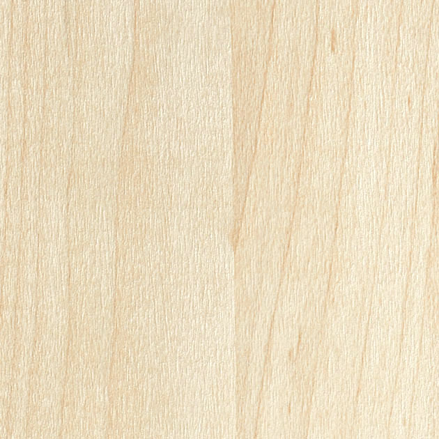 TH32613 [ウッド] サンゲツ [不燃認定壁紙] FAITH フェイス2022-25 m販売