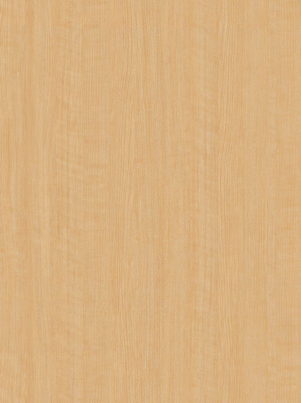 TH32623 [ウッド] サンゲツ [不燃認定壁紙] FAITH フェイス2022-25 m販売