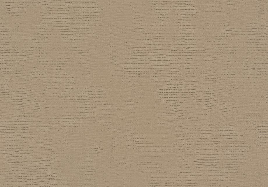 FE76062 FE76063 FE76064 FE76065 [process#100] タッチアコード サンゲツ 壁紙 FINE ファイン 2023-26 m販売