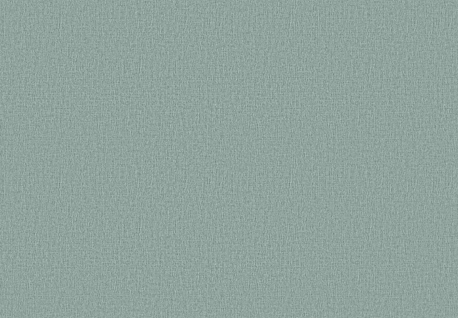 FE76158 FE76159 FE76160 [カラーセレクション] サンゲツ 壁紙 FINE ファイン 2023-26 m販売