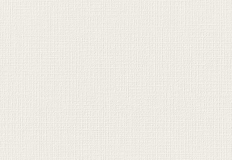 RE53845 サンゲツ 壁紙 リザーブ m販売