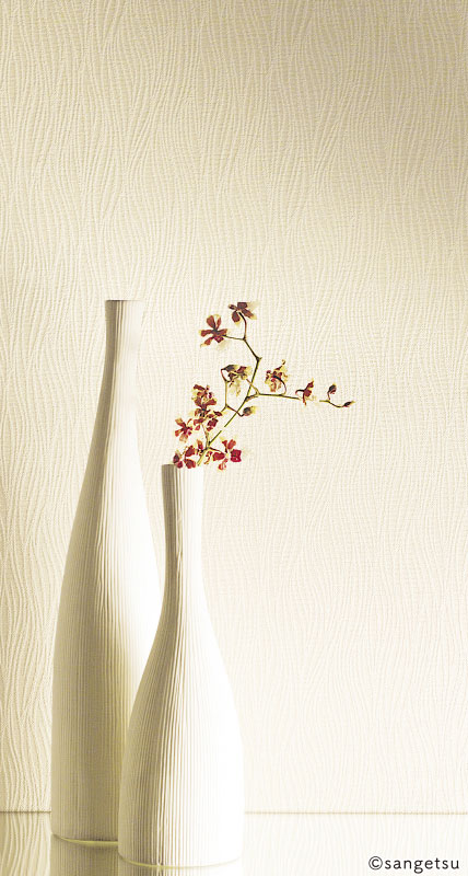 RE55191 サンゲツ 壁紙 リザーブ 2024-27