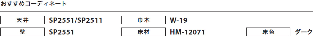 SP2551 石目調 サンゲツ 壁紙 SP 2025-27 m販売