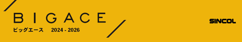 BA7212 天井におすすめ シンコール 壁紙 ビッグエース 2024-2026 m販売