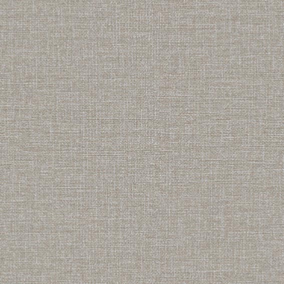 BA6047 ペットと暮らす シンコール 壁紙 ビッグエース 2022-2024 ※廃番