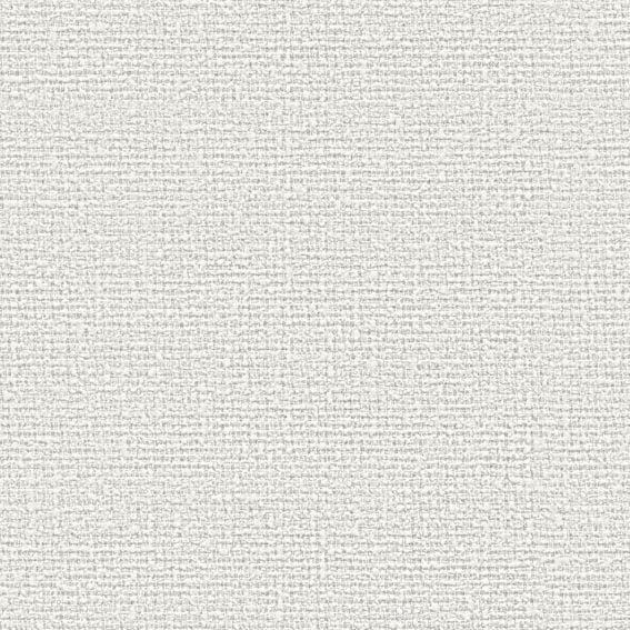 BA6166 シンコール 壁紙 ビッグエース 2022-2024 ※廃番