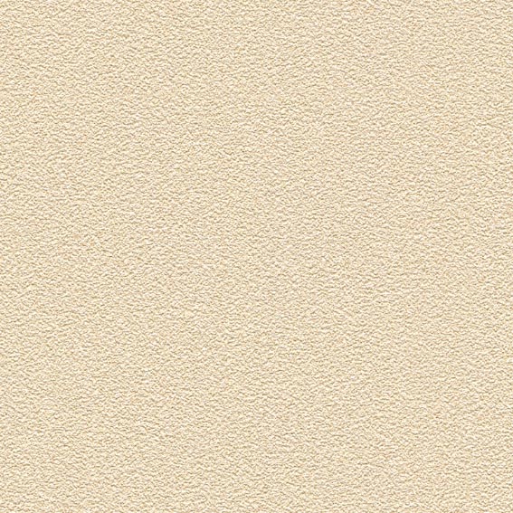 BA6435 シンコール 壁紙 ビッグエース 2022-2024 ※廃番